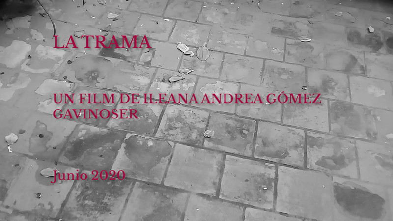 WINNERS: December 2025 STYLE, EXPERIMENTAL, FASHION Festival ...